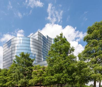 LAMMICO celebrates 40 years thanks to teamwork and transparency ...