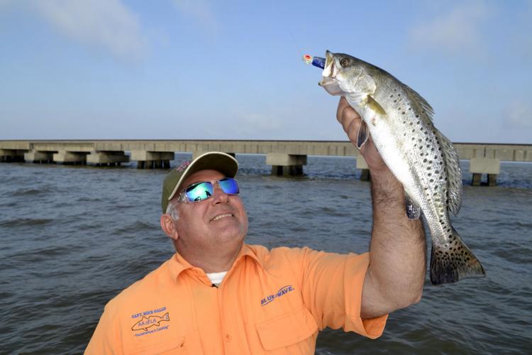 Speckled trout action in eastern Lake Pontchartrain reaching its peak ...