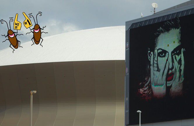 How to properly stomp a cockroach ... or learn to love them | Archive ...