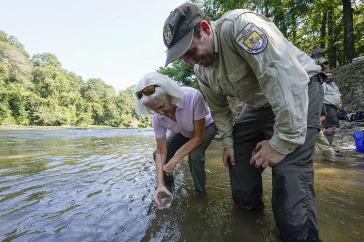 After 50 years, a tiny fish is reintroduced to the river | News | nola.com