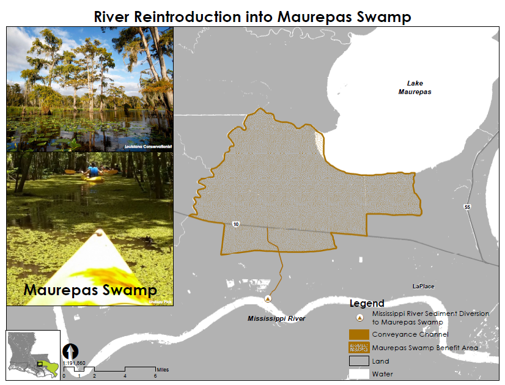 Coastal authority wants to use Maurepas Swamp diversion as mitigation ...