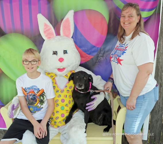 Spring Fling Pet Fest all about the fun, and raising awareness ...