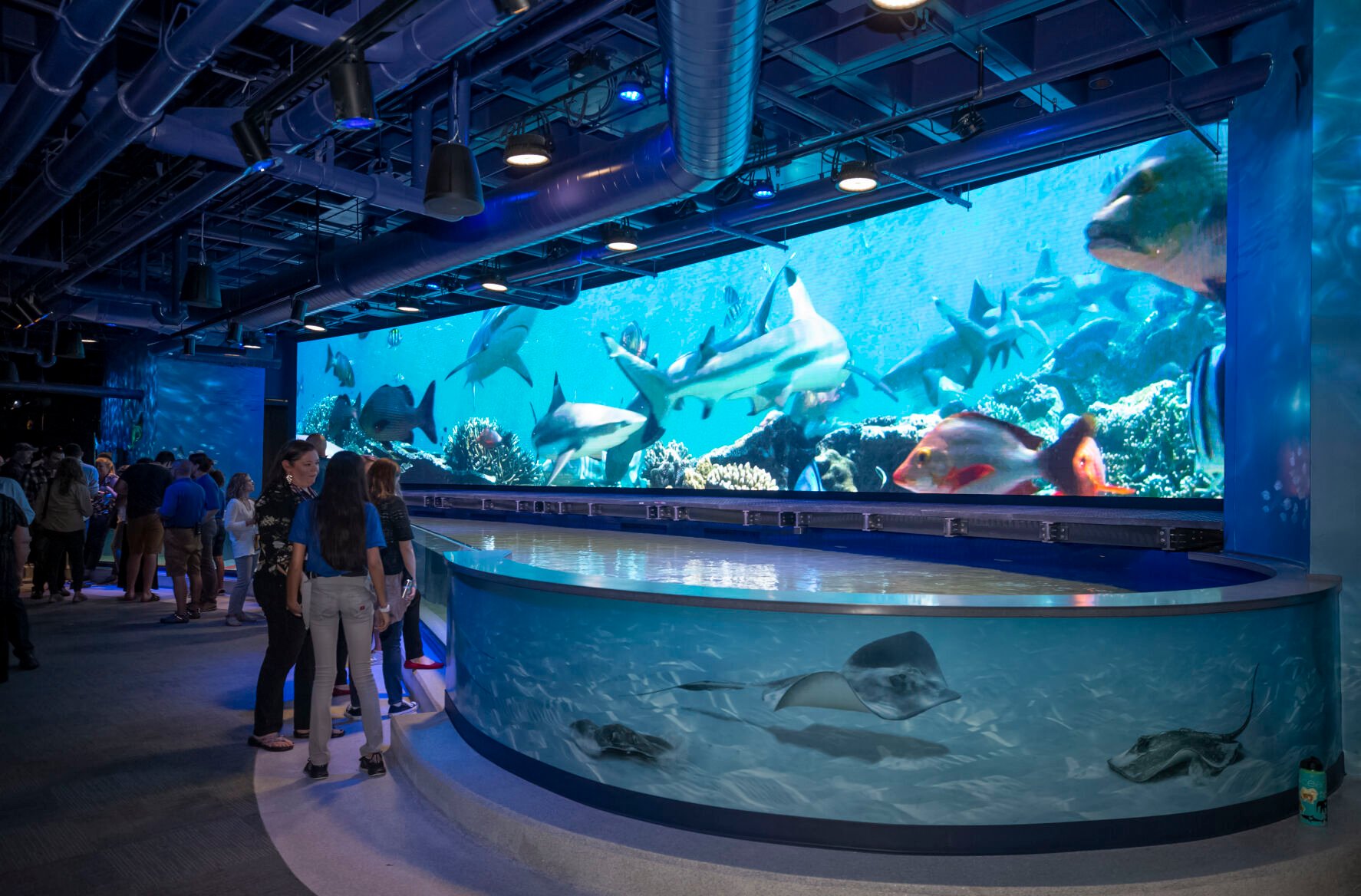 Go to the zoo, aquarium and insectarium free. Details here ...