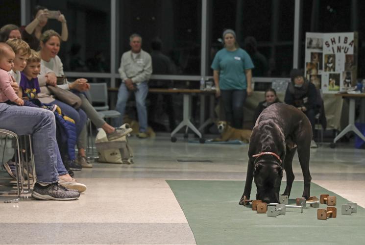 Louisiana is 5th laziest state, 5th luckiest state, and likes Chinese ...