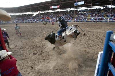 Angola Rodeo finances will be investigated further by legislative ...