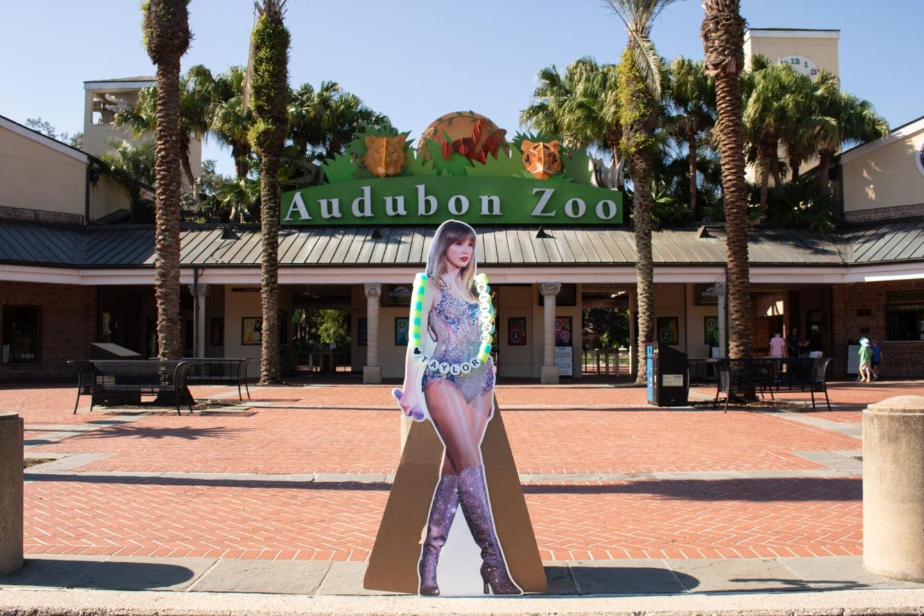 New Orleans Audubon Zoo gets new CEO, Michael Sawaya | Business News ...