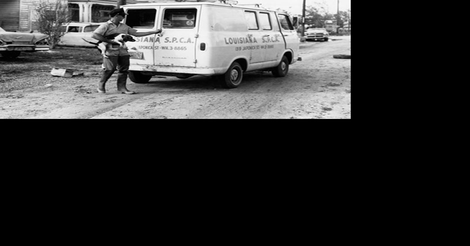 Throughout its 130-year history, LA-SPCA has fought for rights of ...