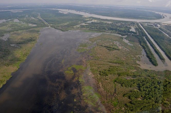 From the air, Mississippi River Delta shows promise, peril ...