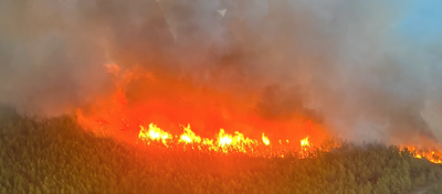 Tiger Island Fire fueled by drought, windy conditions | News | nola.com