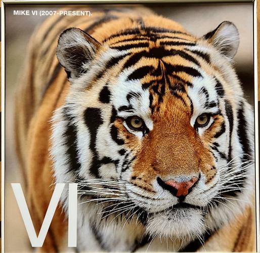 Where are the resting places of the deceased Mike the Tigers | Curious ...