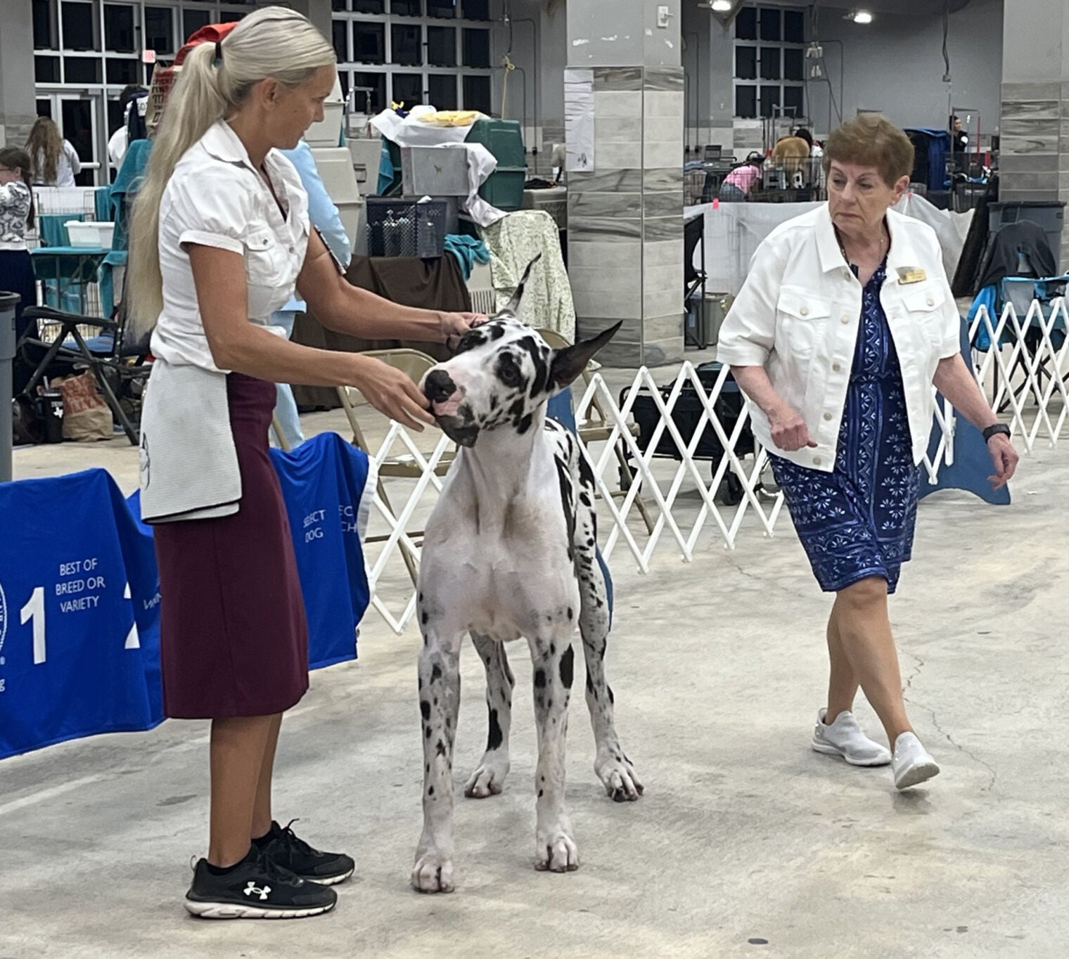 asc dog show 1.jpg | | nola.com