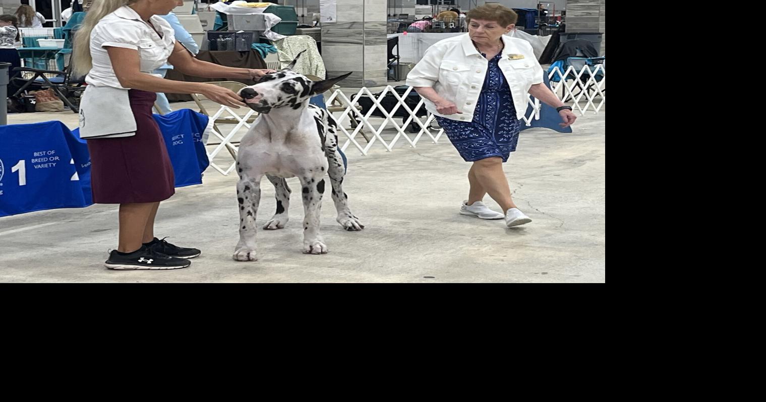 asc dog show 1.jpg | | nola.com