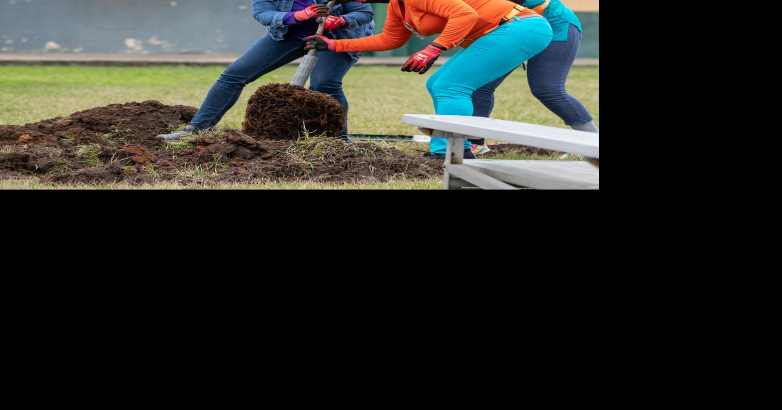 New Orleans tree planting efforts fall short of other cities ...