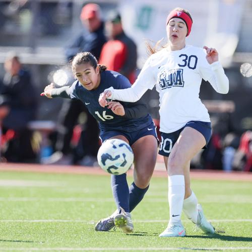 Hannan midfielder Kaitlyn Brady's quest for a state championship | St ...