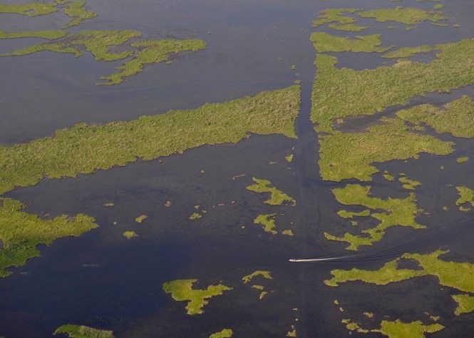From the air, Mississippi River Delta shows promise, peril ...