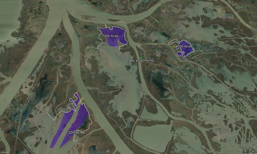 Cutting holes in levees has created more land than expected south of ...