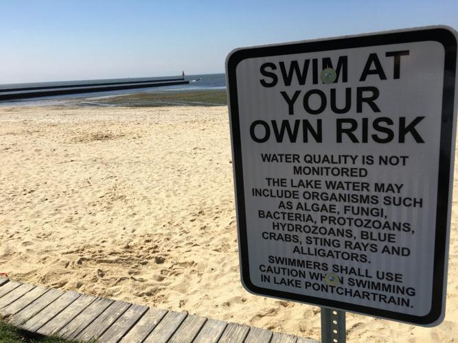 At Mandeville's new beach, algae, warning signs give swimmers pause ...