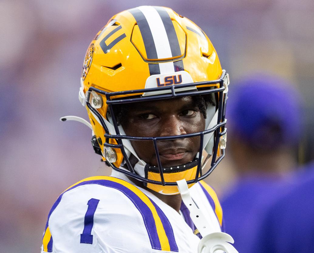 LSU trying to redshirt two defensive backs, Brian Kelly says | Football ...