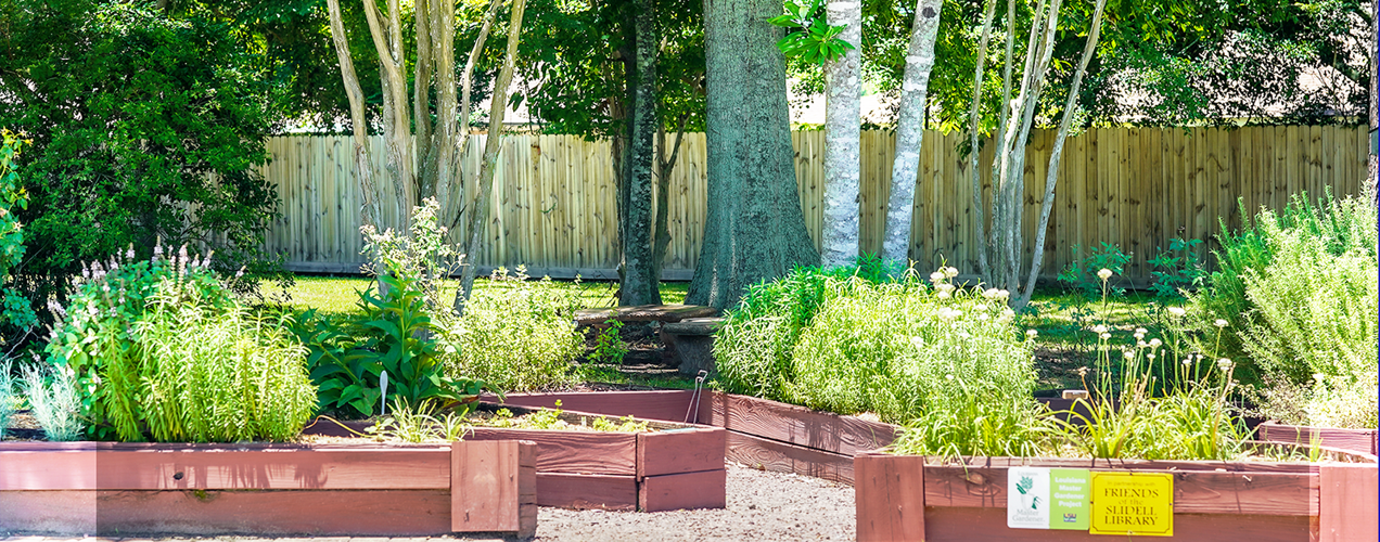 Check out the Slidell Library's heirloom seed station | St. Tammany ...