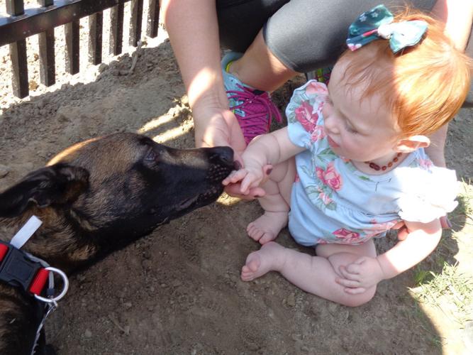 Who let the dogs out? Kenner and its new canine park! | Archive | nola.com
