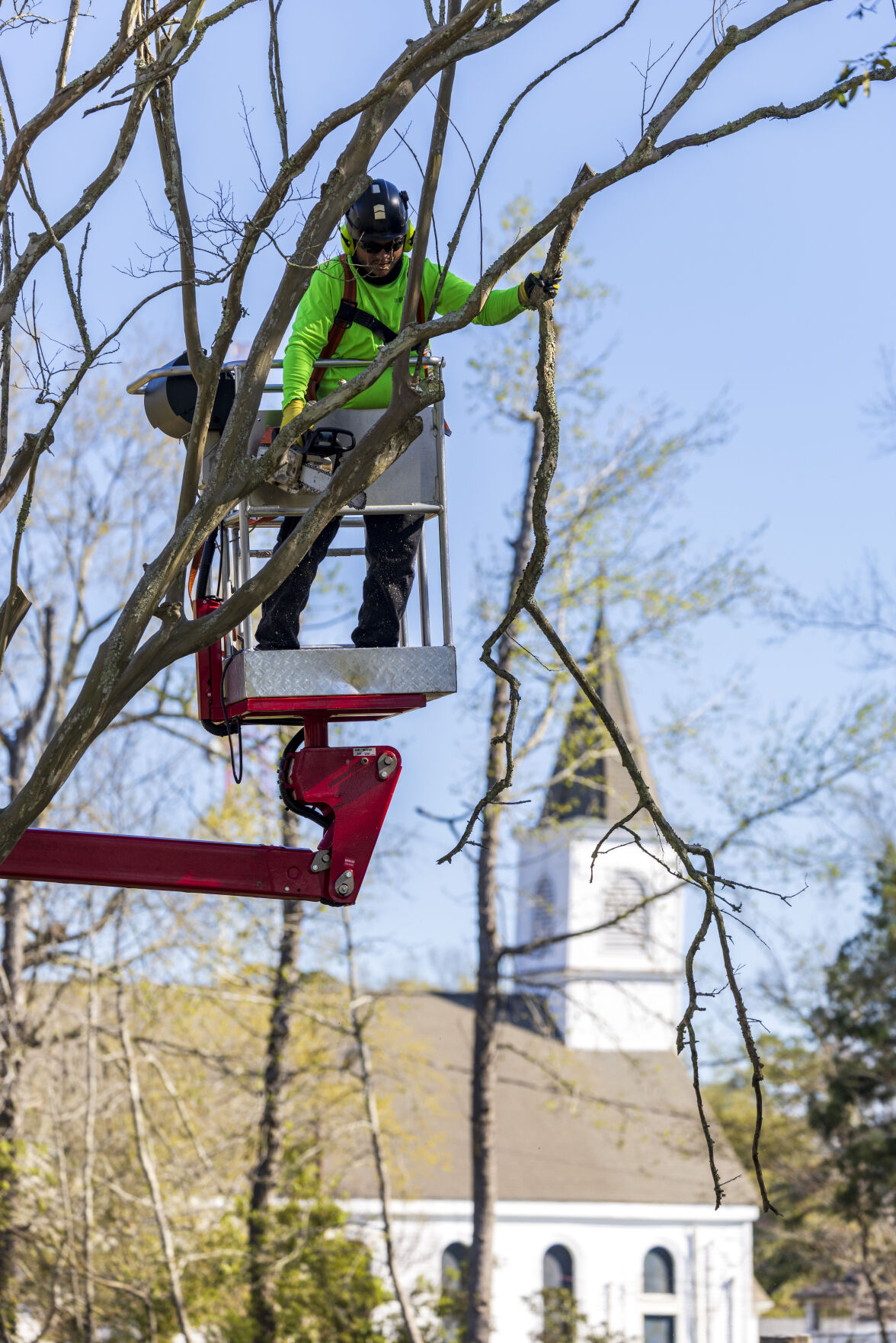 Slidell’s Greenwood Cemetery is cleaning up its tree canopy | One ...