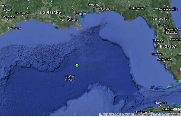 Tulane scientists say tiny 'pocket shark' reveals secrets in depths of ...