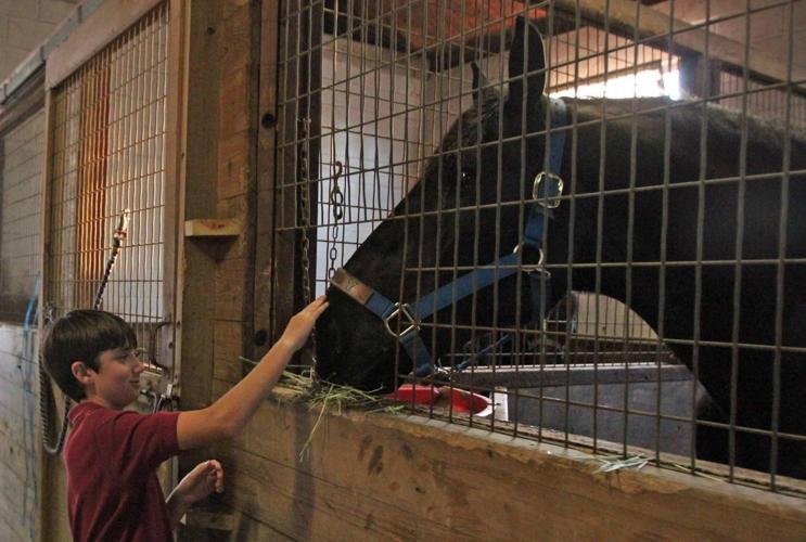 Horses, Hops and Cops: An unbeatable combination to benefit the NOPD ...