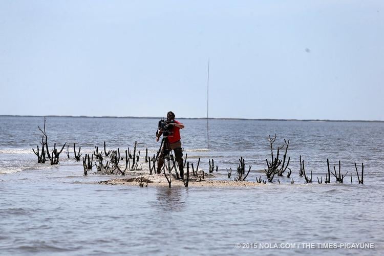 BP oil spill: 5 years later, many environmental effects remain unclear ...
