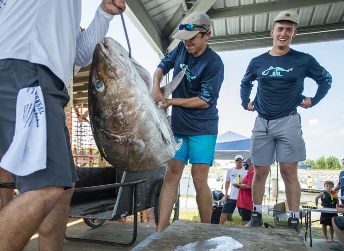 NOAA's amberjack closure in Gulf prompts Landry criticism | Environment ...