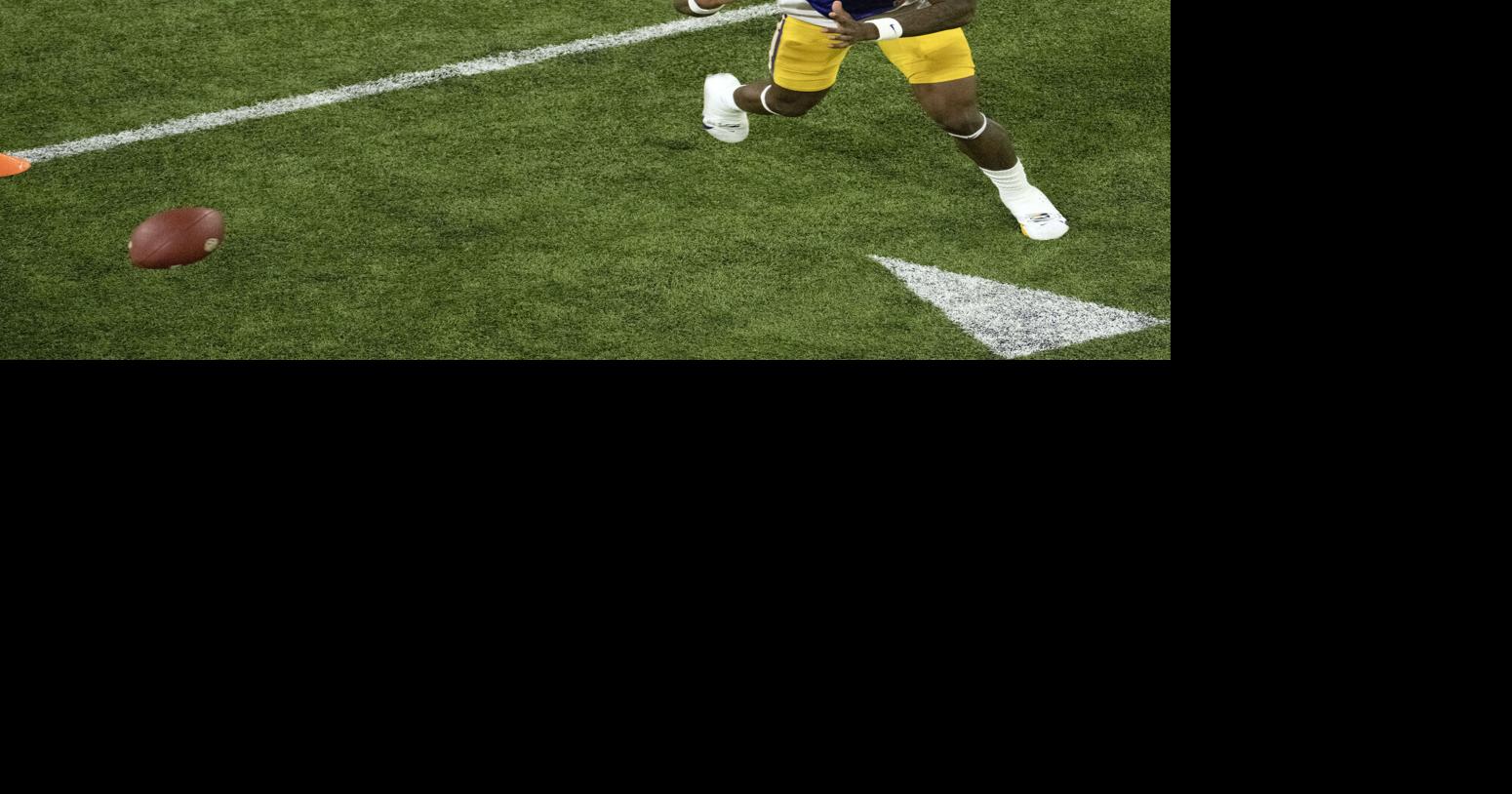 LSU football transfer portal: Xavier Atkins, others to enter | LSU | nola.com