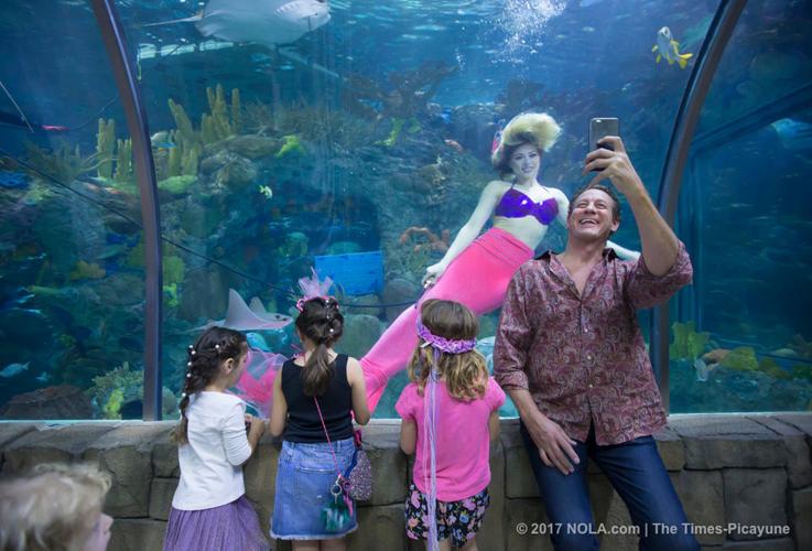 An invasive species of fish returns to New Orleans, the Weeki Wachee ...