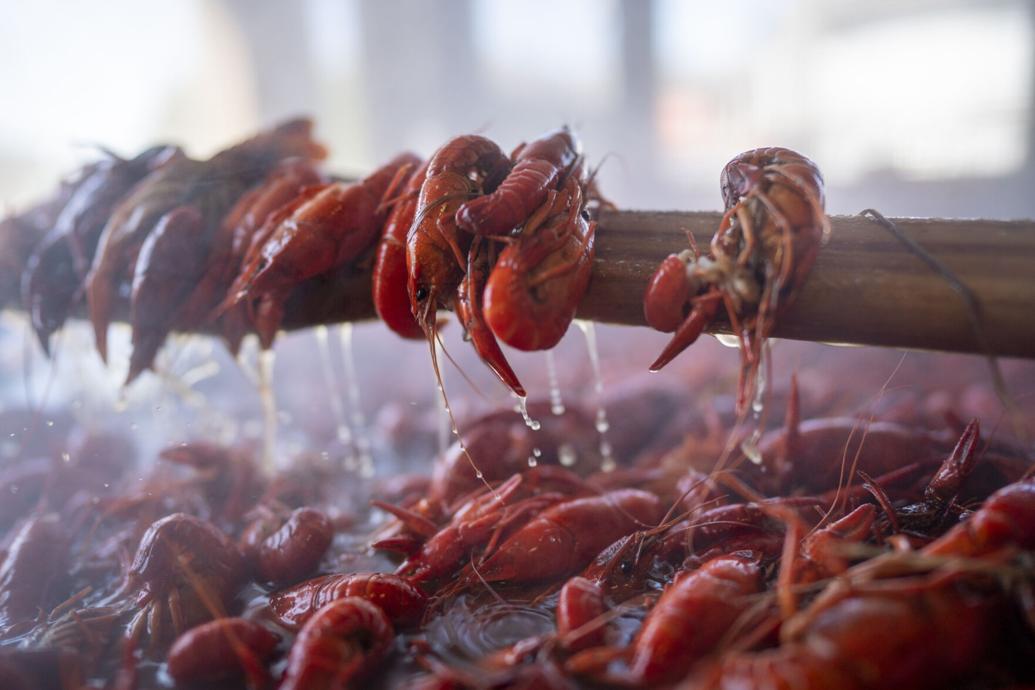 Crawfish boils in Louisiana are soaked with social tradition | Where ...