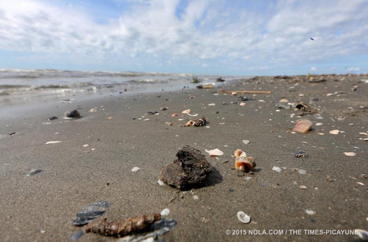 BP oil spill: 5 years later, many environmental effects remain unclear ...