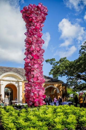 chihuly rose