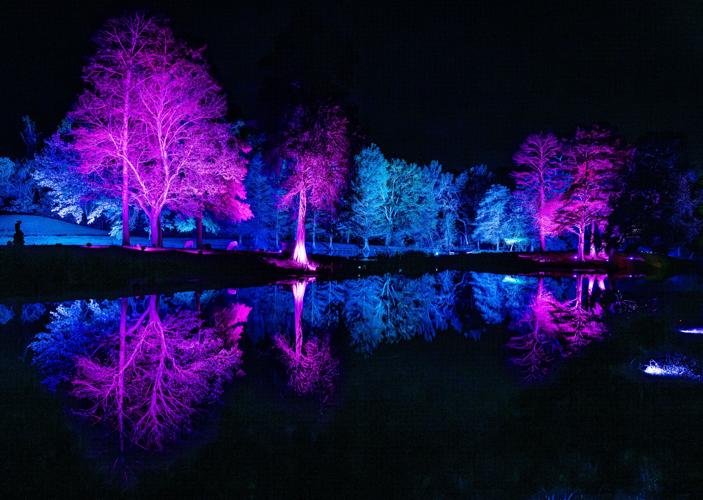 Louisiana Lights at Windrush Gardens transform the landscape ...