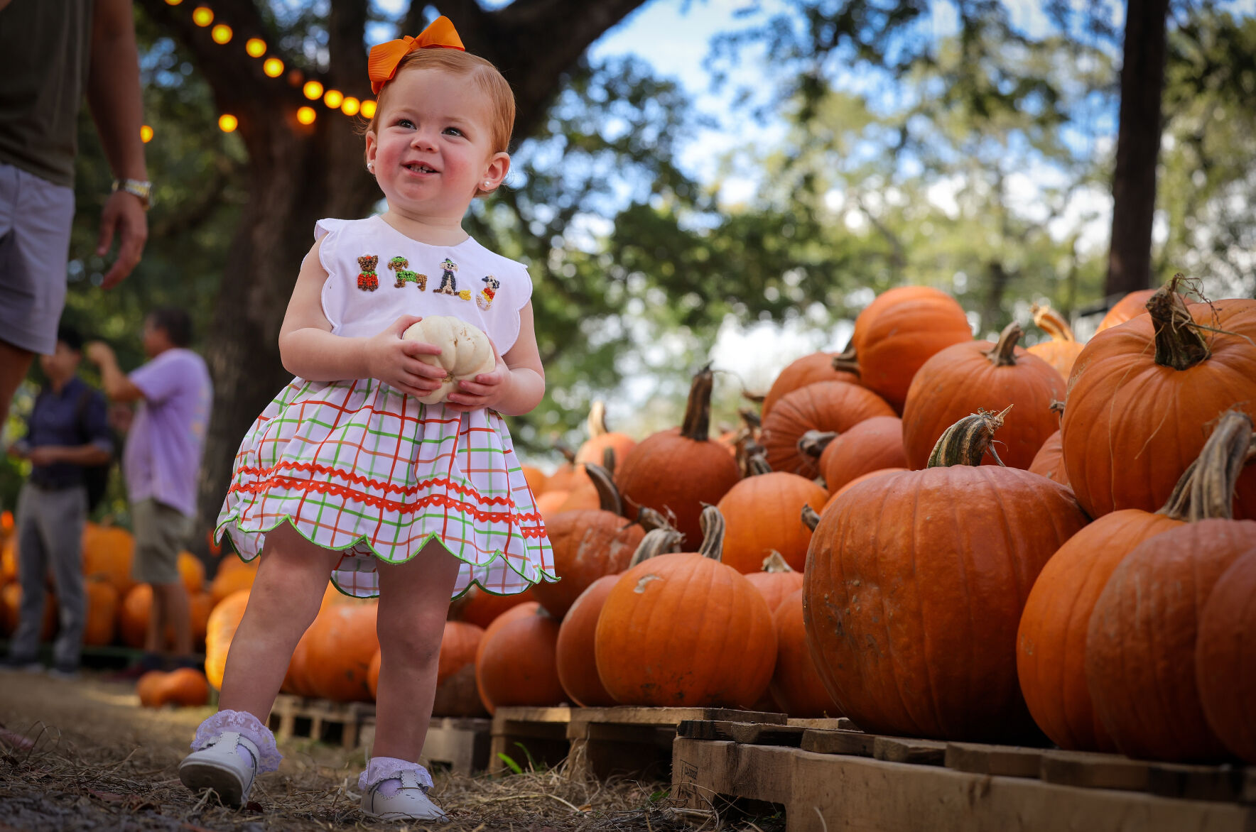 Photos: Thousands of pumpkins fill the annual St. Andrew's Episcopal Church Pumpkin Patch ...