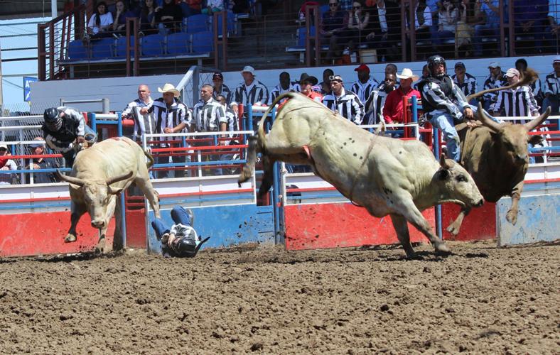 Angola Prison Rodeo, Treme Culture Fest, Satsuma Celebration and more ...