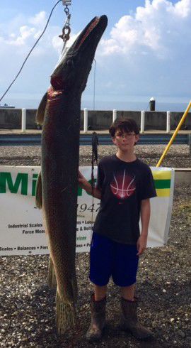 2017 Madisonville Gar Rodeo final standings | One Tammany | nola.com