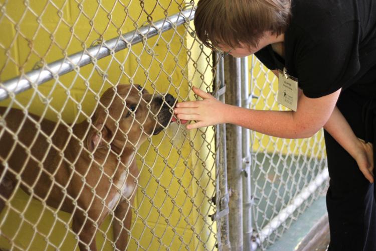 Arc volunteers provide valuable help at St. Tammany Humane Society | St ...