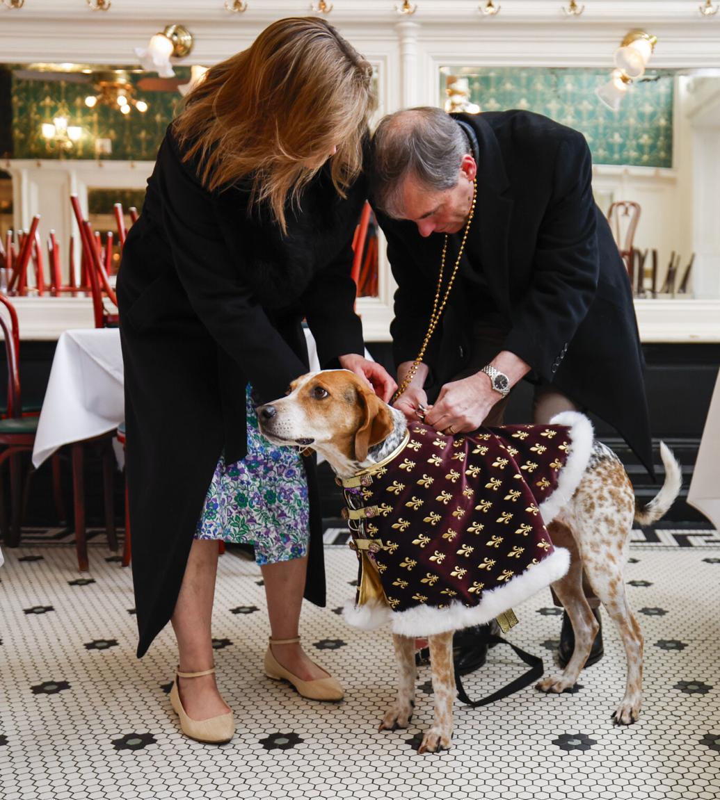 Photos: Barkus royalty eat lamb chops at Galatoire's | Mardi Gras ...