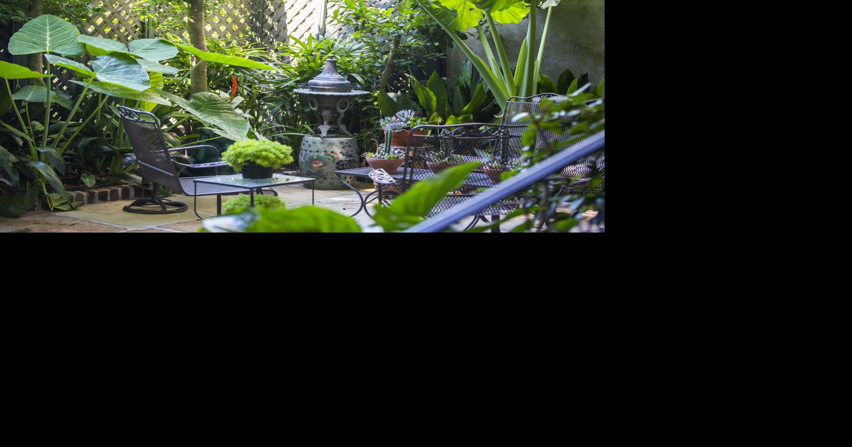 Hidden Esplanade garden of landscape architect Rene Fransen is lush in ...