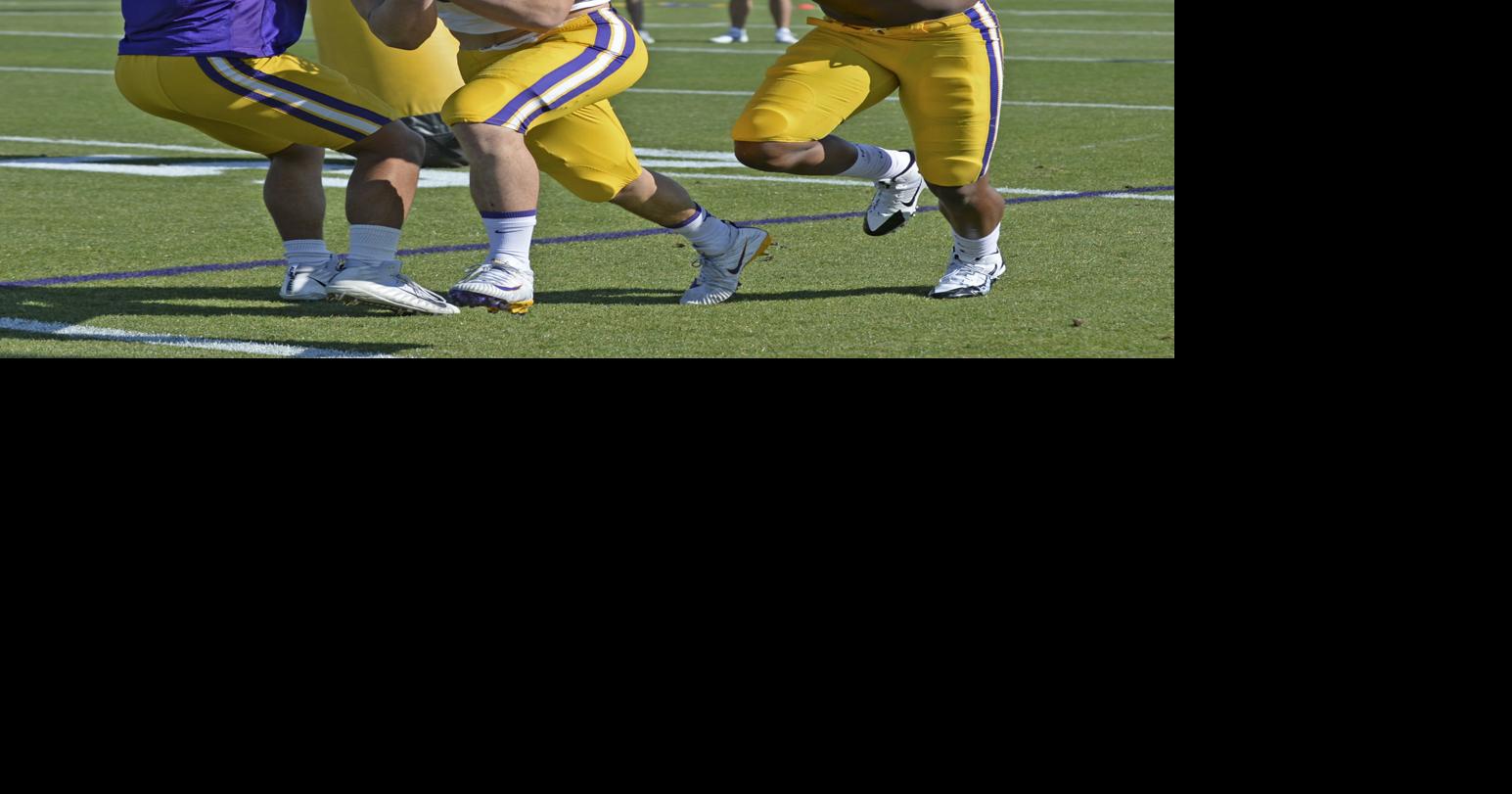 'A brotherhood': LSU LBs Jacob Phillips, Tyler Taylor battling on the ...