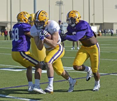 'A brotherhood': LSU LBs Jacob Phillips, Tyler Taylor battling on the ...