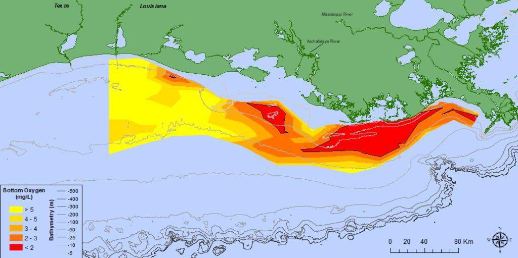 Near-record 'dead zone' expected in Gulf after spring floods in ...