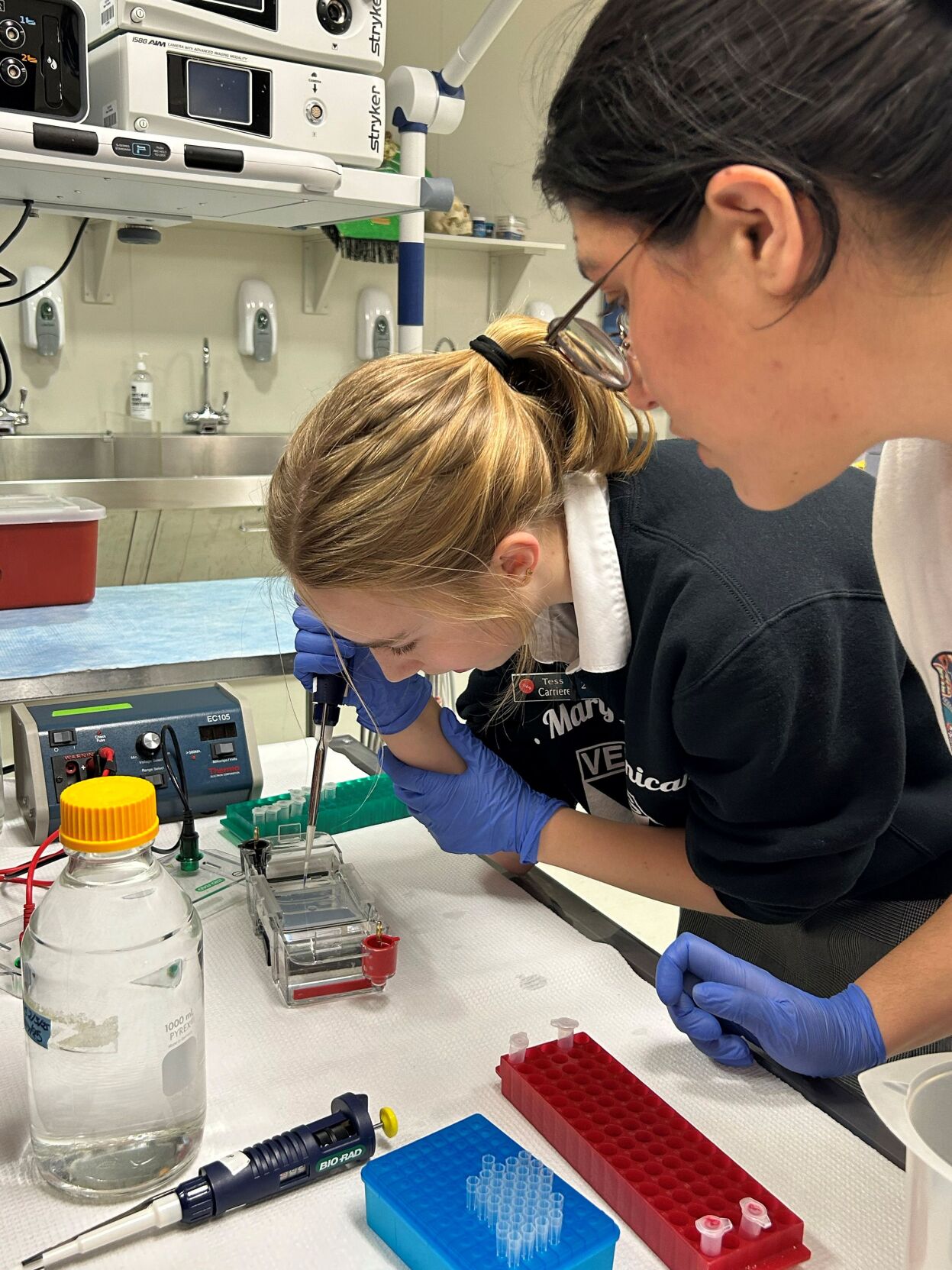 Dominican advanced biology students get demos at LSU lab | Crescent ...