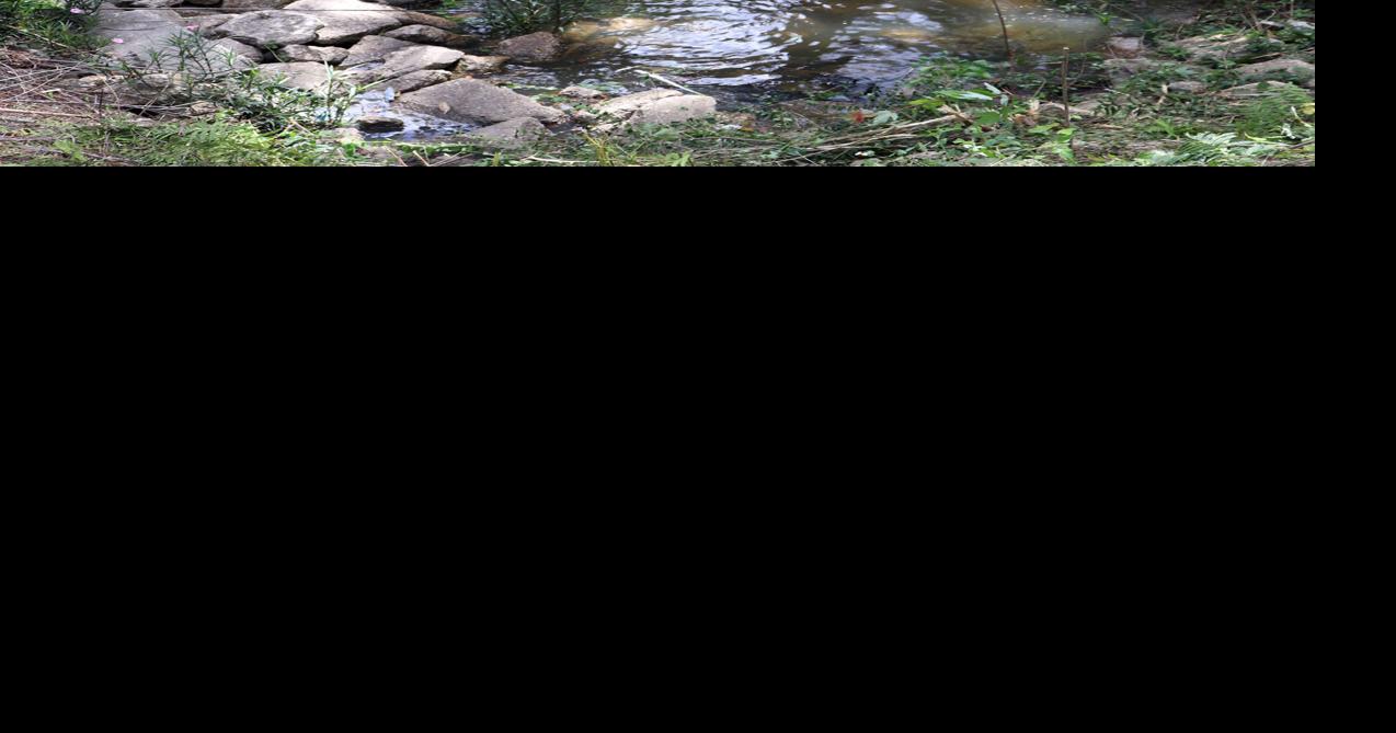 St. Tammany, Slidell crews join forces to clean major drainage canals ...