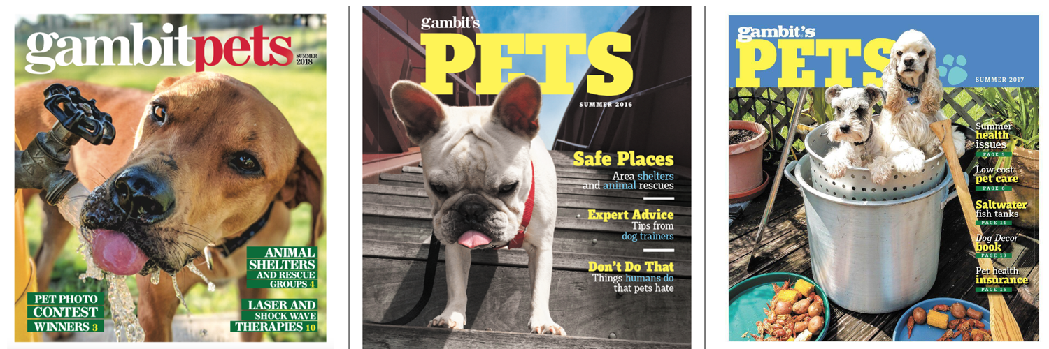 Gambit's 2021 Spring Pet Photo Contest | Presented by Metairie Small ...