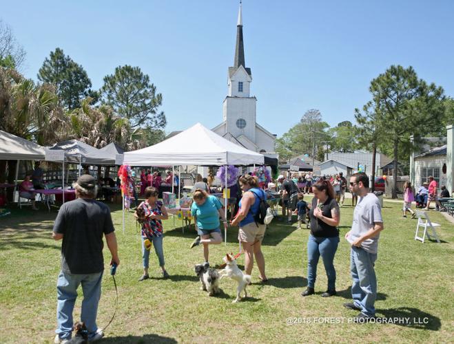 Spring Fling Pet Fest all about the fun, and raising awareness ...