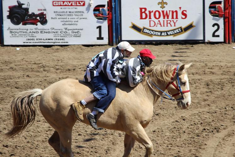 Angola Prison Rodeo, Treme Culture Fest, Satsuma Celebration and more ...