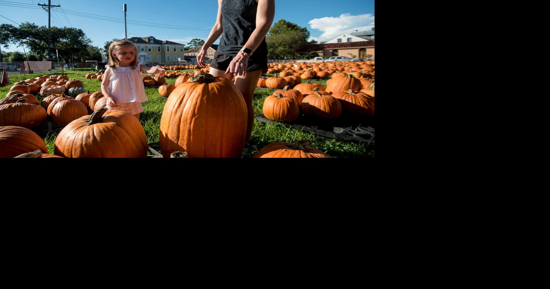 Hello, south Louisiana! Fall is coming this week! Here's the latest ...